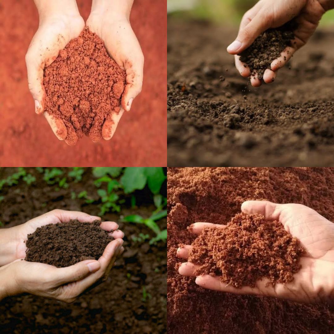 Potting Supplies – Green Evolve