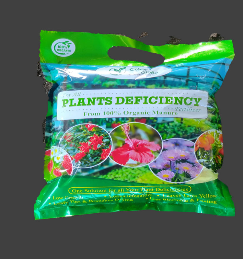 Compost – Green Evolve